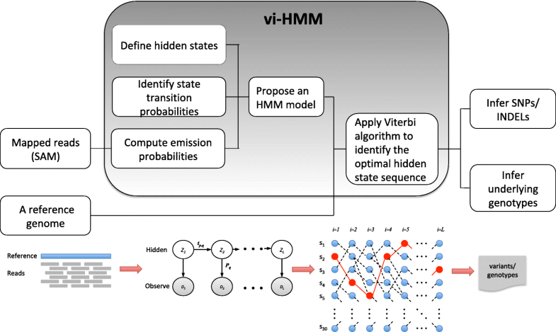 vi-HMM: a novel HMM-based method for sequence variant identification in ...