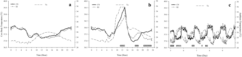 The Wolff–Chaikoff effect ameliorates heat stress in rats | Animal ...