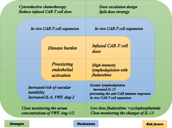 Biomarkers of cytokine release syndrome and neurotoxicity related to CAR-T cell therapy ...
