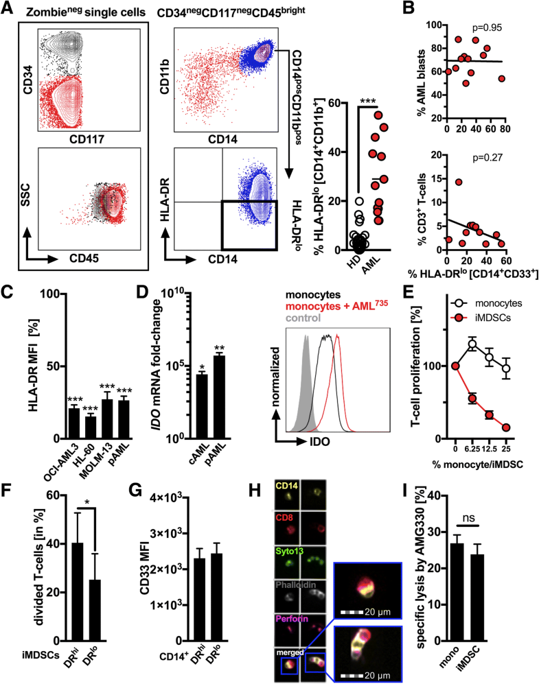 CD33/CD3-bispecific T-cell engaging (BiTE®) antibody construct targets ...