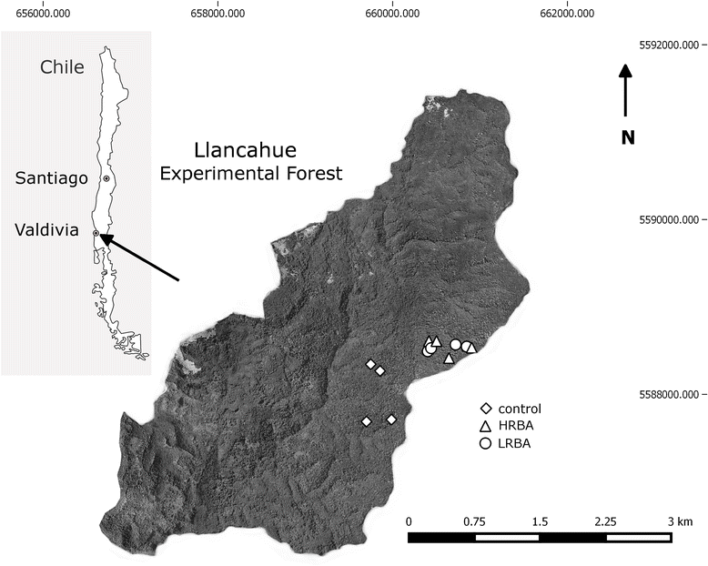 Short-term effects of single-tree selection cutting on stand structure ...