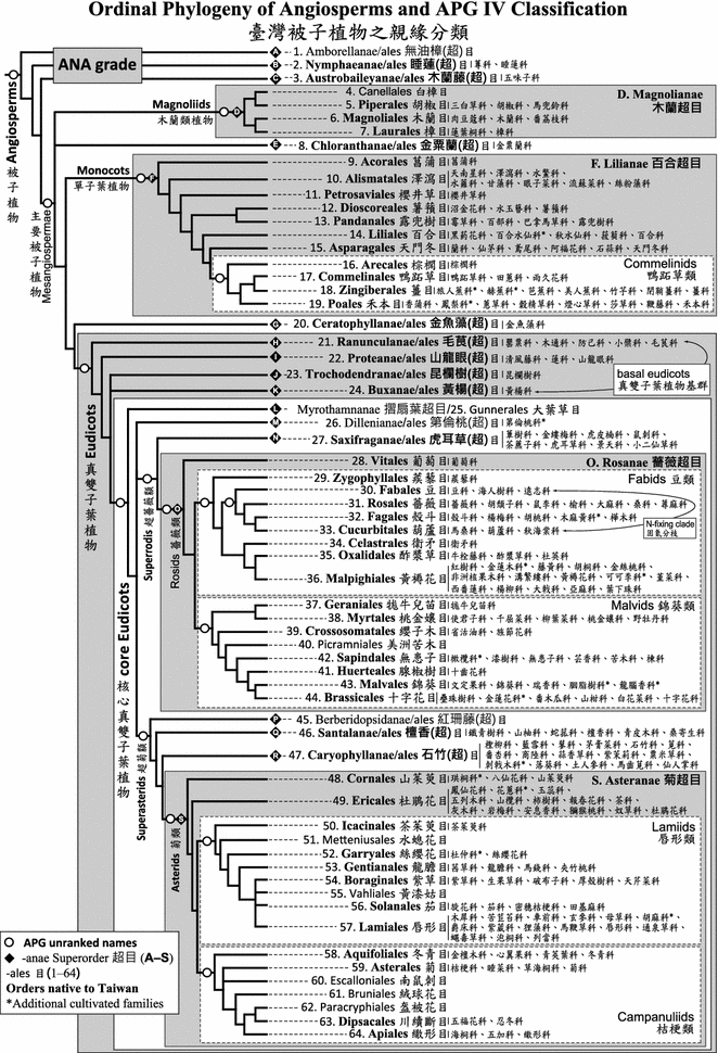 Phylogenetic Classification of Seed Plants of Taiwan | SpringerLink
