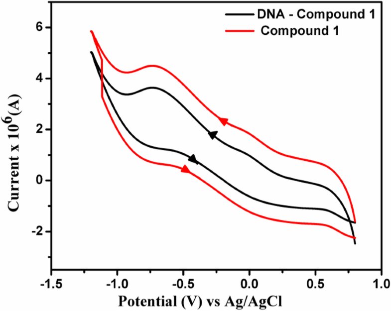 Investigation of DNA binding and molecular docking propensity of phthalimide derivatives: in ...