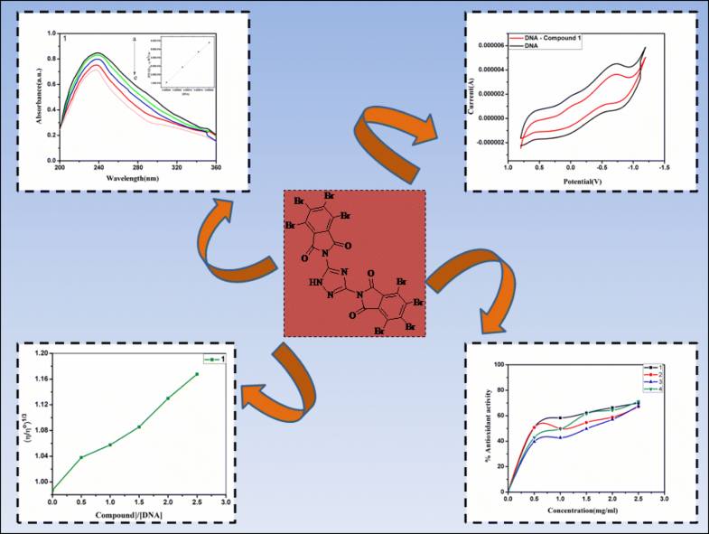 Investigation of DNA binding and molecular docking propensity of phthalimide derivatives: in ...