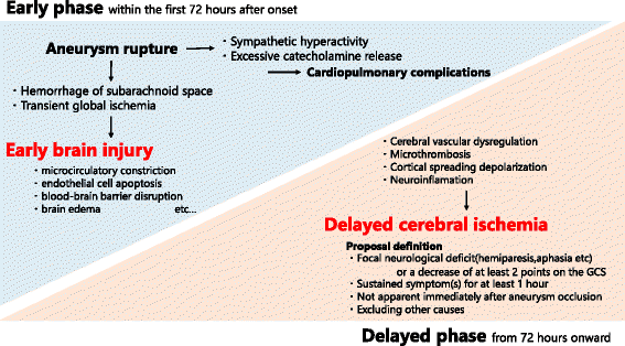 Aneurysmal subarachnoid hemorrhage: intensive care for improving ...