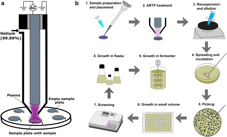 Microbial mutagenesis by atmospheric and room-temperature plasma (ARTP ...