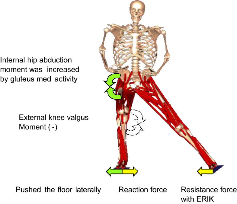 ERIK: an isokinetic exercise device for the lower limbs | ROBOMECH ...