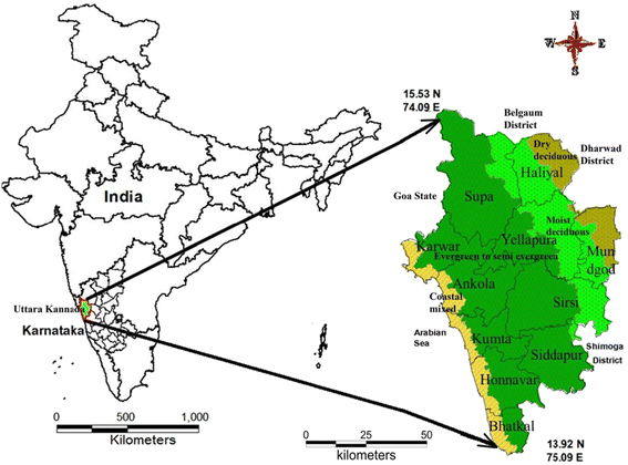 Geospatial analysis of forest fragmentation in Uttara Kannada District ...