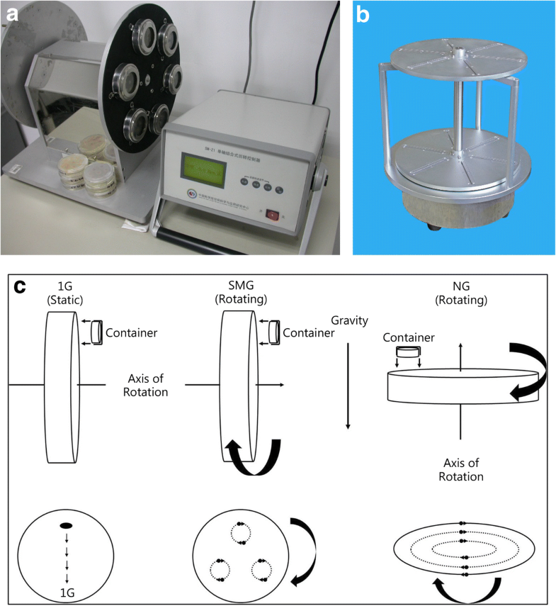 Effects of spaceflight and simulated microgravity on microbial growth ...
