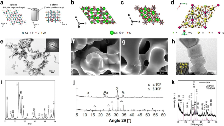 Bioactive calcium phosphate materials and applications in bone ...