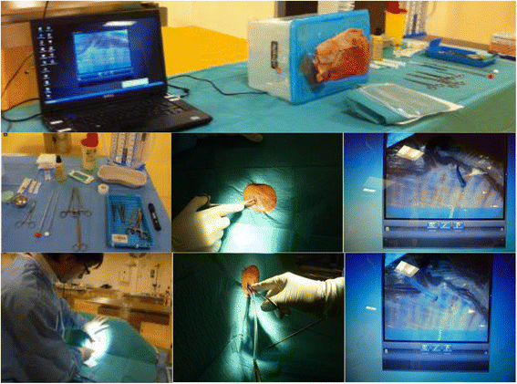 Impact of simulation-based training in surgical chest tube insertion on ...
