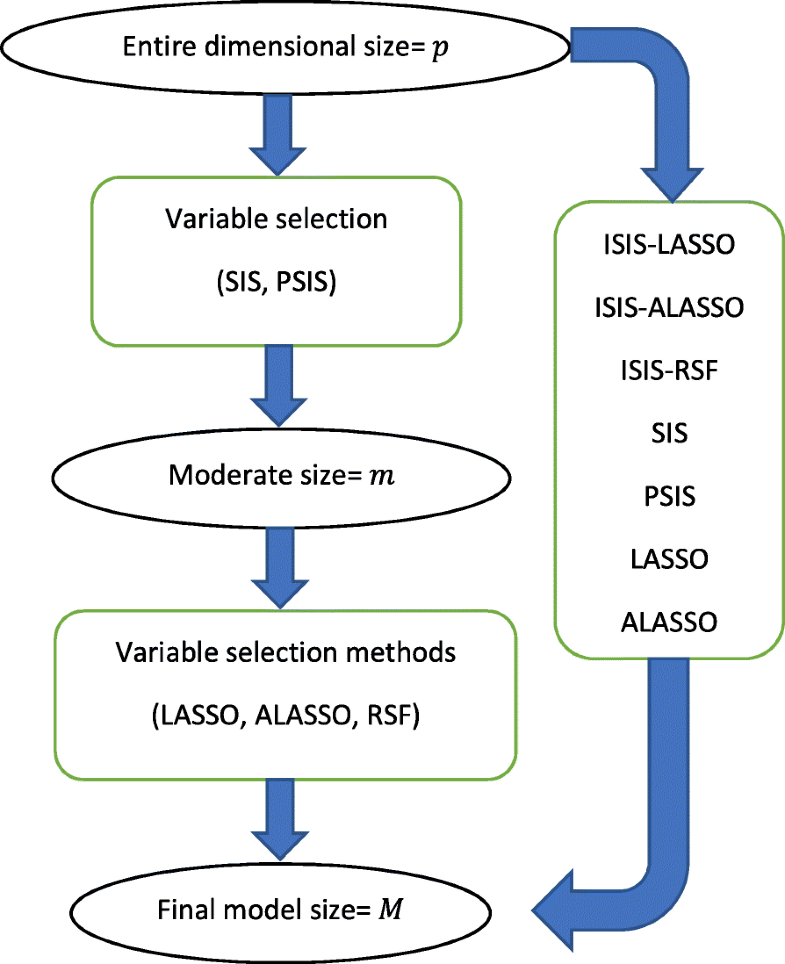 Combined performance of screening and variable selection methods in ...