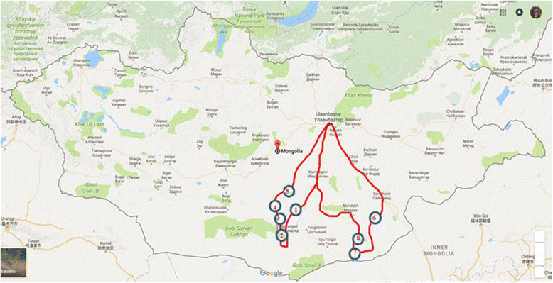 Medicinal plant diversity in the southern and eastern Gobi Desert ...
