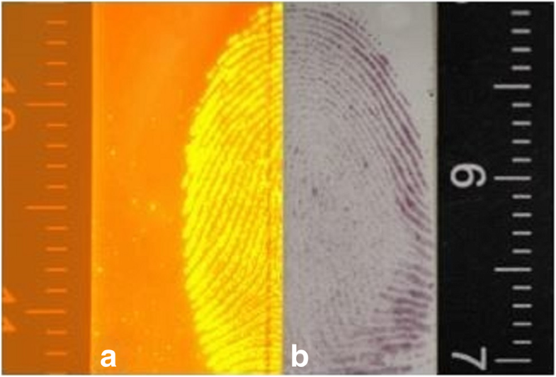 Development of fingerprints on thermal papers—a review | SpringerLink