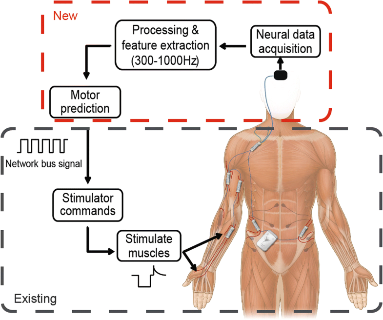 Design and testing of a 96-channel neural interface module for the ...