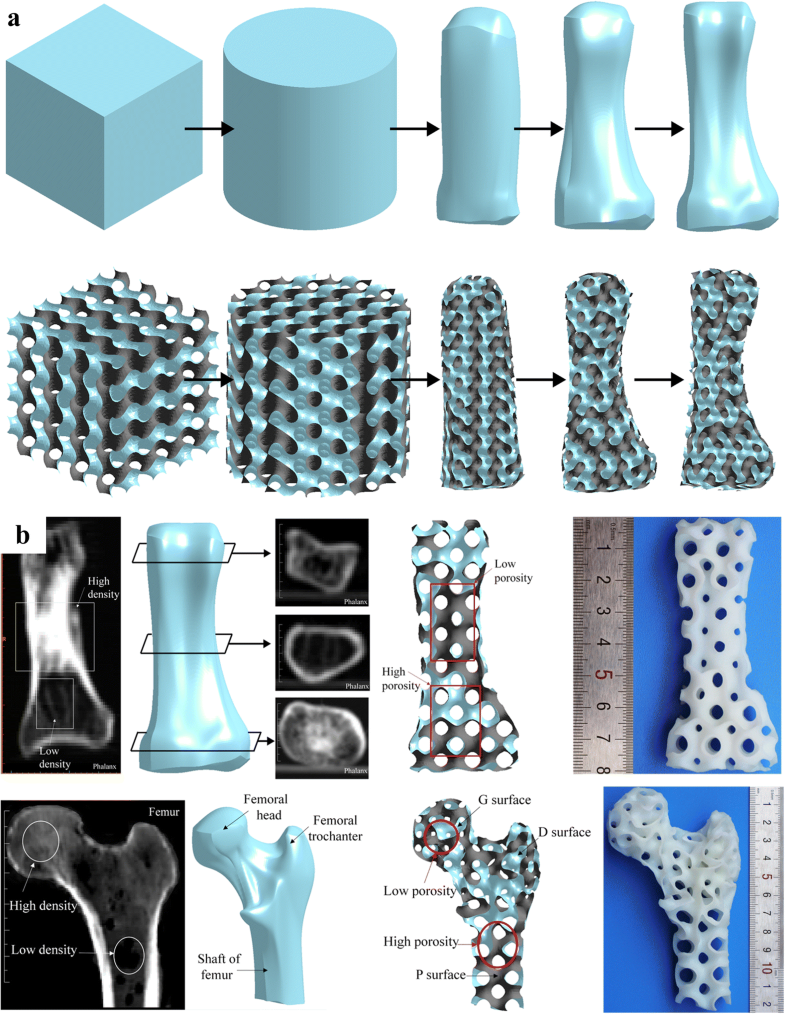 A review of the design methods of complex topology structures for 3D printing | Visual Computing ...