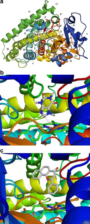 Insights into the Substrate Specificity, Inhibitors, Regulation, and ...