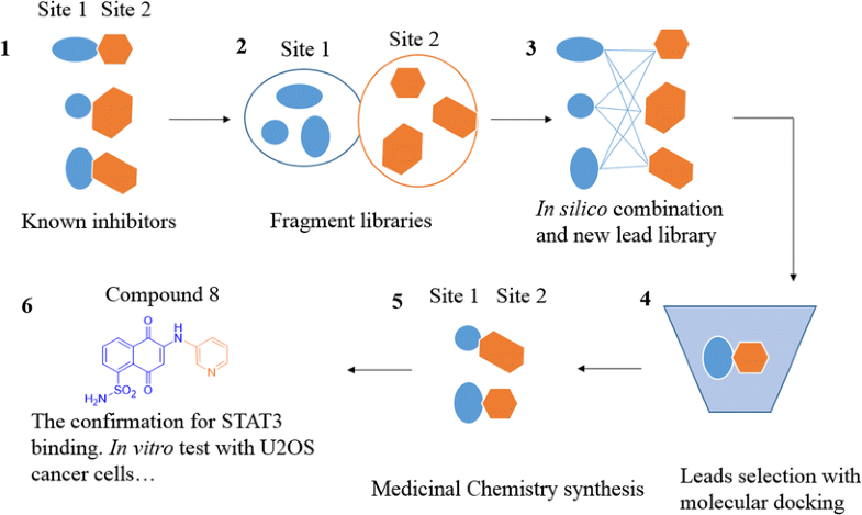 Computational Fragment-Based Drug Design: Current Trends, Strategies, and Applications ...