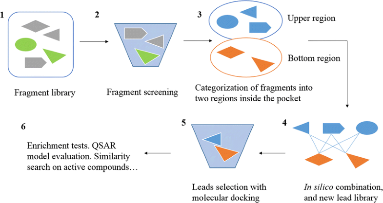 Computational Fragment-Based Drug Design: Current Trends, Strategies, and Applications ...