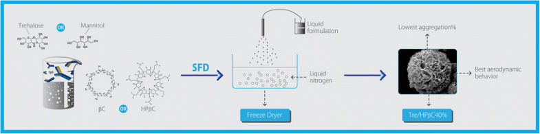 Spray-Freeze Drying: a Suitable Method for Aerosol Delivery of ...