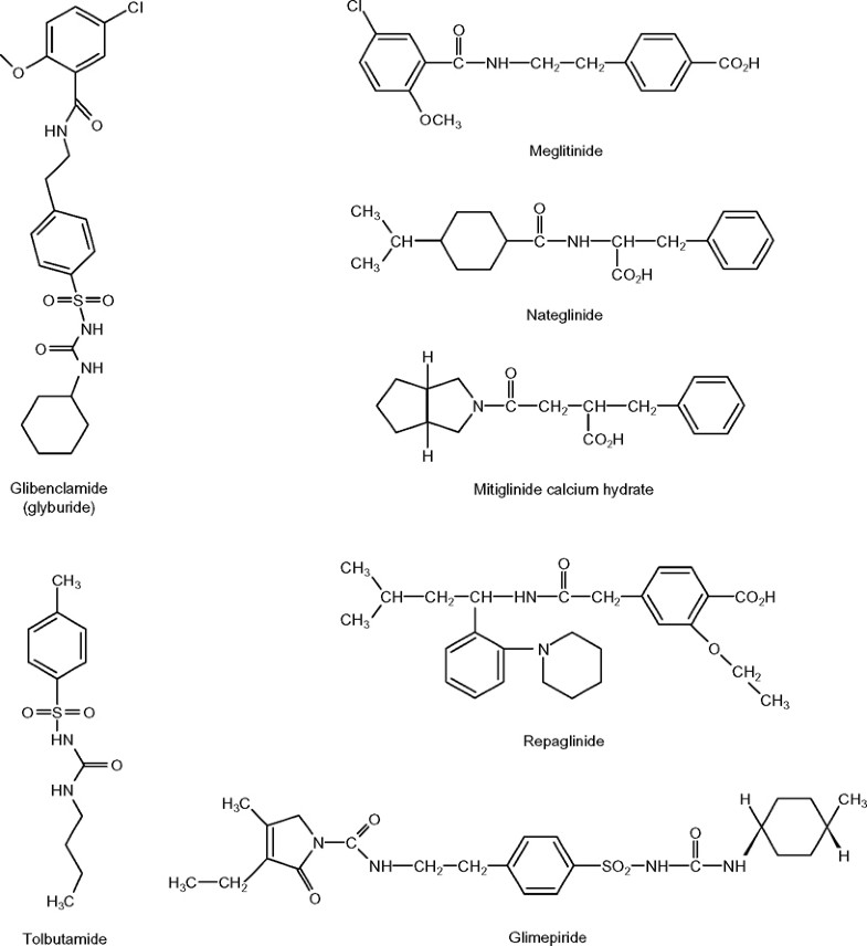 Meglitinide Analogues in the Treatment of Type 2 Diabetes Mellitus ...