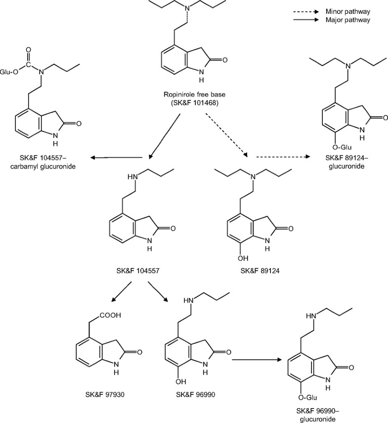 Clinical Pharmacokinetics of Ropinirole | SpringerLink