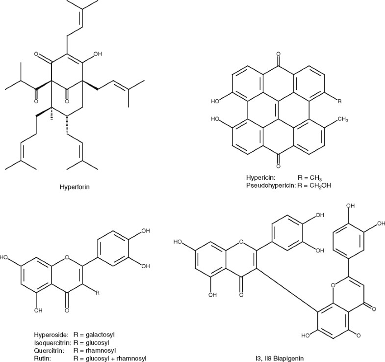 Hypericum Perforatum: A ‘Modern’ Herbal Antidepressant | SpringerLink