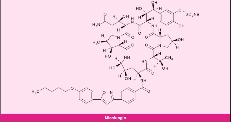 Micafungin | SpringerLink