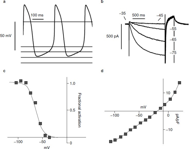 The Funny Current | SpringerLink