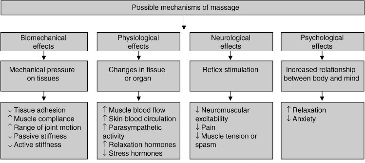 The Mechanisms of Massage and Effects on Performance, Muscle Recovery ...