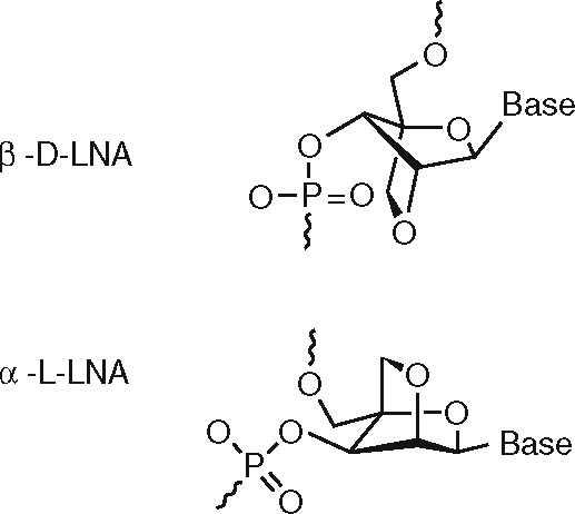 Locked Nucleic Acid Oligonucleotides | SpringerLink