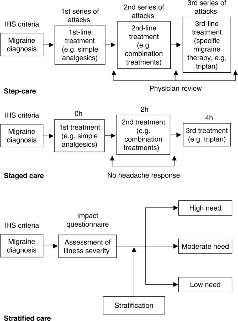 The Migraine Disability Assessment (MIDAS) Questionnaire in the Primary ...