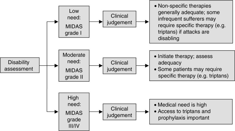 The Migraine Disability Assessment (MIDAS) Questionnaire in the Primary ...