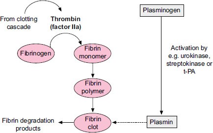 Tenecteplase | SpringerLink