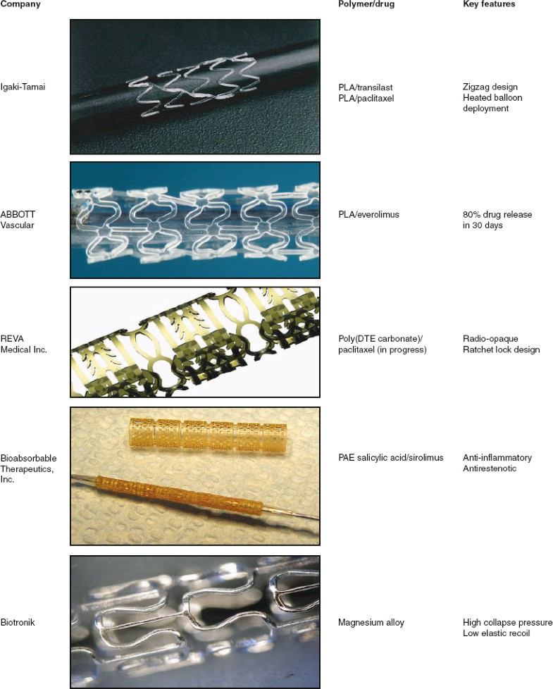 Fully Biodegradable Coronary Stents | SpringerLink