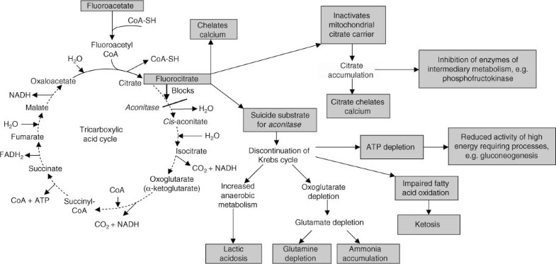 Sodium Fluoroacetate Poisoning | SpringerLink