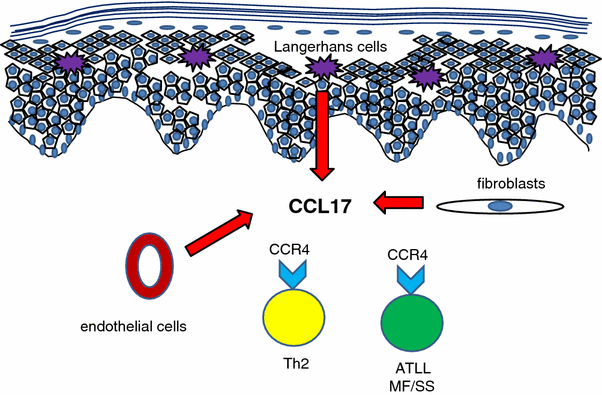 Chemokines and Skin Diseases | SpringerLink
