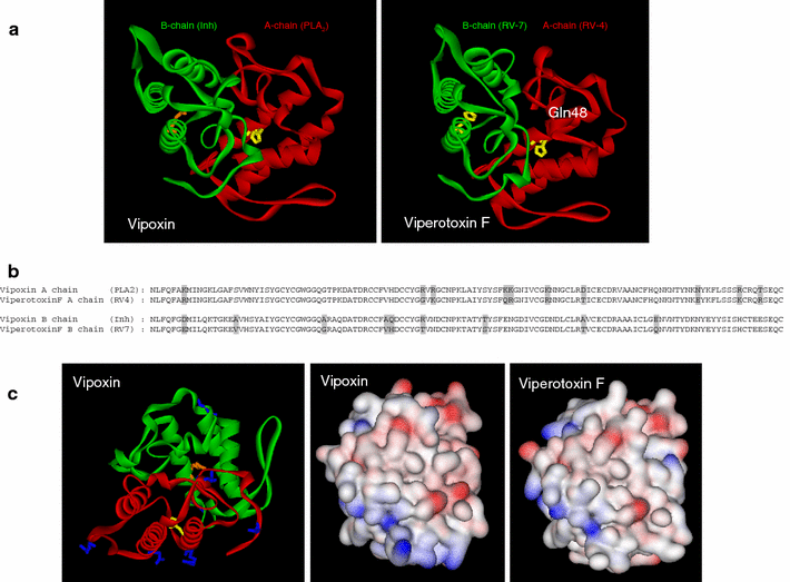 Protein complexes in snake venom | SpringerLink