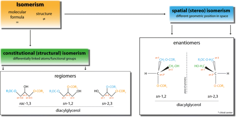 DAG tales: the multiple faces of diacylglycerol—stereochemistry ...