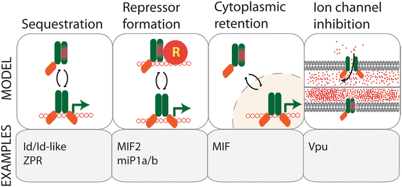 Approaches to identify and characterize microProteins and their ...