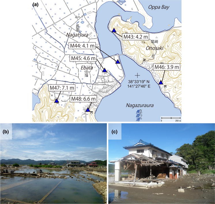 Tsunami Heights along the Pacific Coast of Northern Honshu Recorded ...