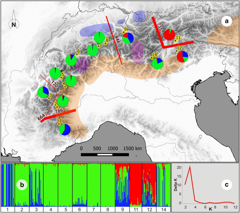 Spatial genetic structure of the endemic alpine plant Salix ...