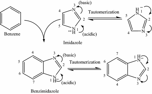 Development of drugs based on imidazole and benzimidazole bioactive ...