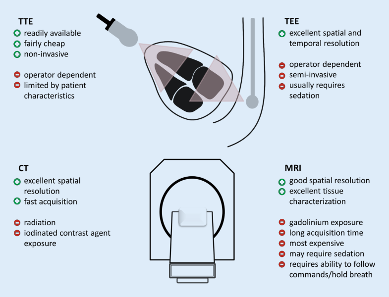 Cardiac imaging after ischemic stroke | SpringerLink
