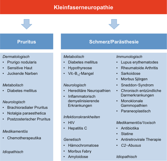 Kleinfaserneuropathie als mögliche Ursache für chronischen Pruritus ...