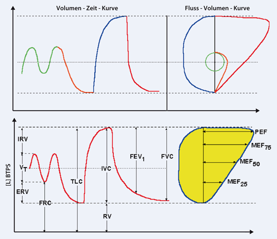 Lungenfunktion | SpringerLink
