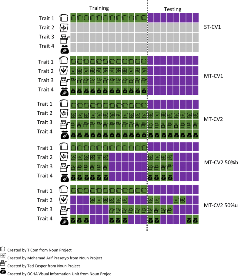 Resource allocation optimization with multi-trait genomic prediction for bread wheat ( Triticum ...