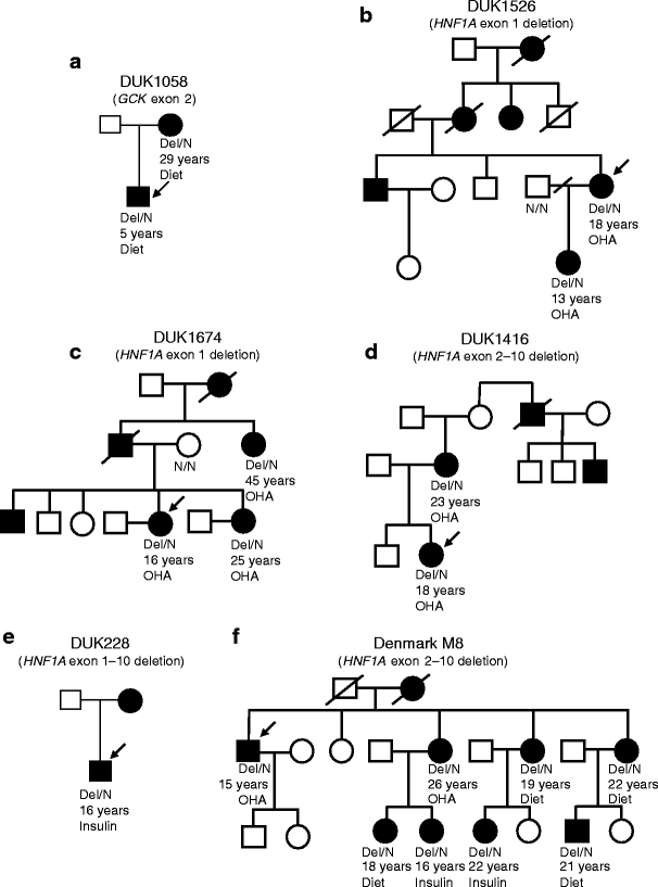 Partial and whole gene deletion mutations of the GCK and HNF1A genes in ...