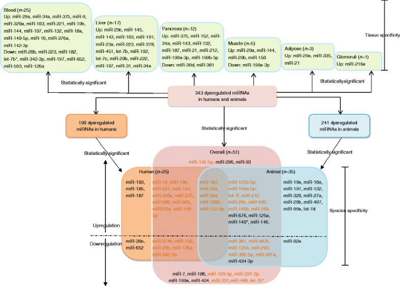 Identification of microRNA biomarkers in type 2 diabetes: a meta ...
