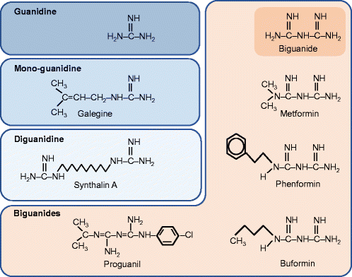 Metformin: historical overview | SpringerLink